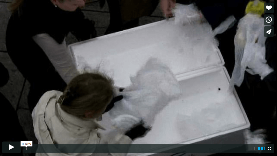 Minimum Monument de la artista Néle Azevedo – Hilandonubes